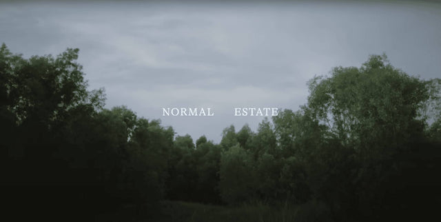 Normal Estate